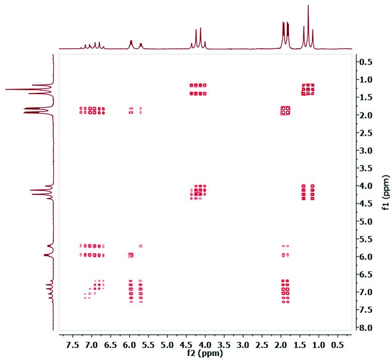 Homonuclear 2D NMR at 60 MHz